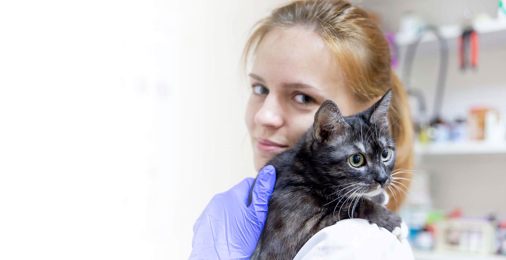 Safe Administration of Hazardous Drugs with CSTDs | Simplivia